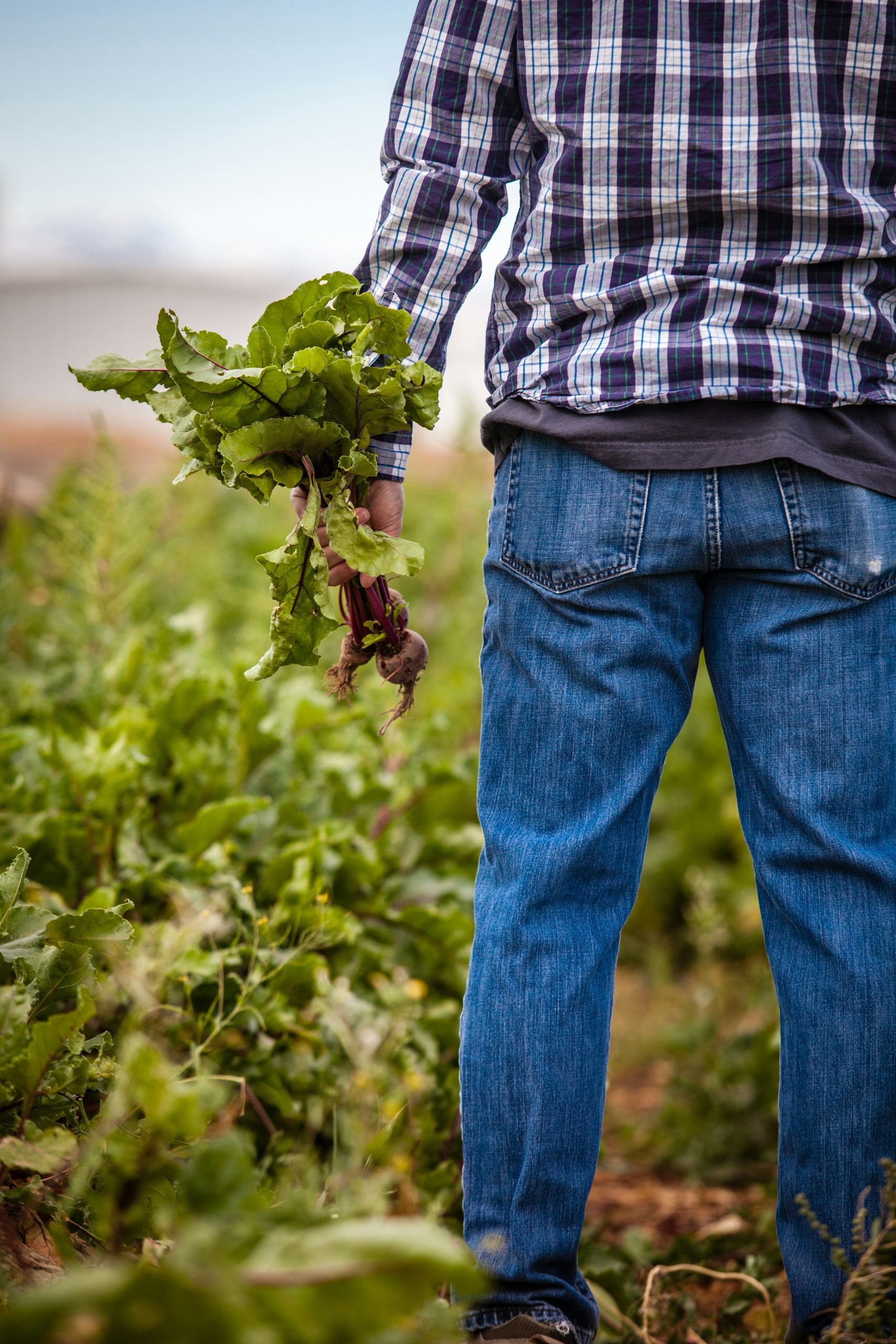 Plasback - Recycling solutions for farms