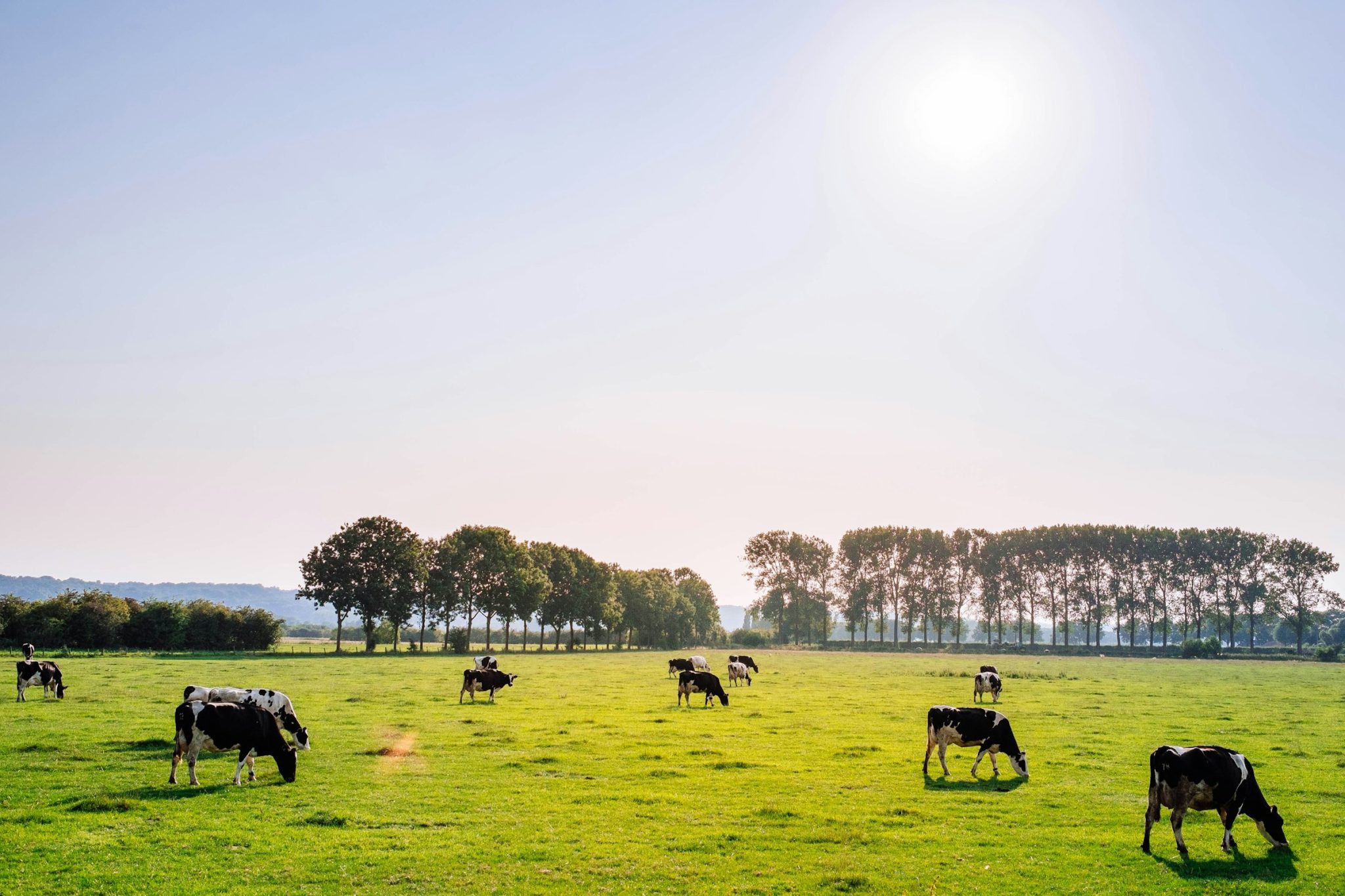 Plasback - Recycling solutions for farms