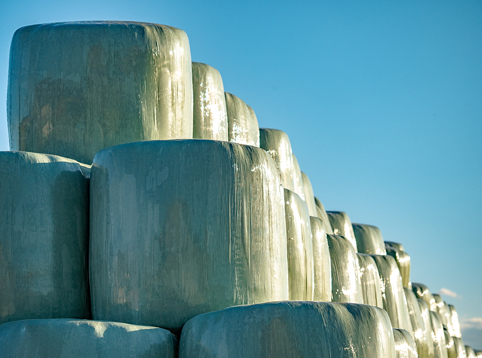 Collections - Plasback